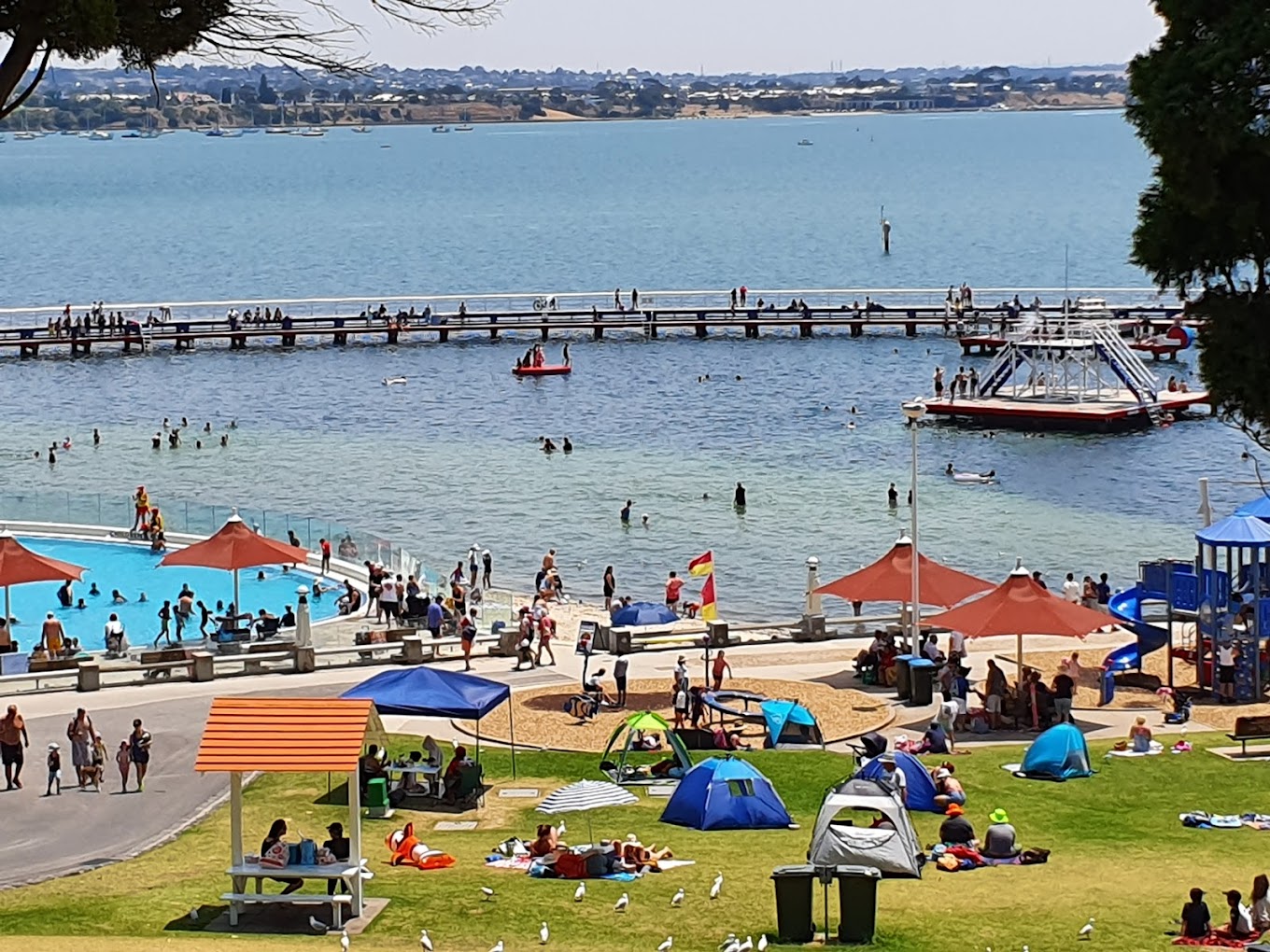 10 Best Top Things to Do in the Bellarine Peninsula & Geelong